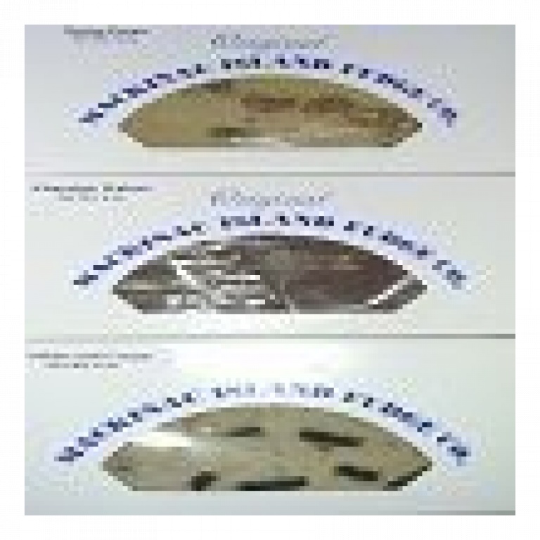 Original Mackinac Island Fudge Company – Still original… always the best!